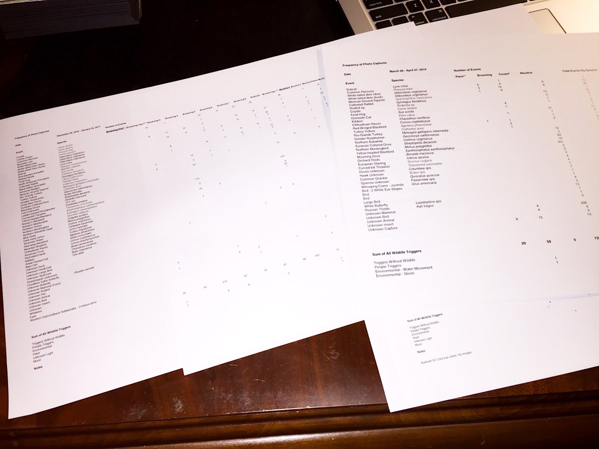 Data Behind the Camera Trap Images – Forgotten Winds