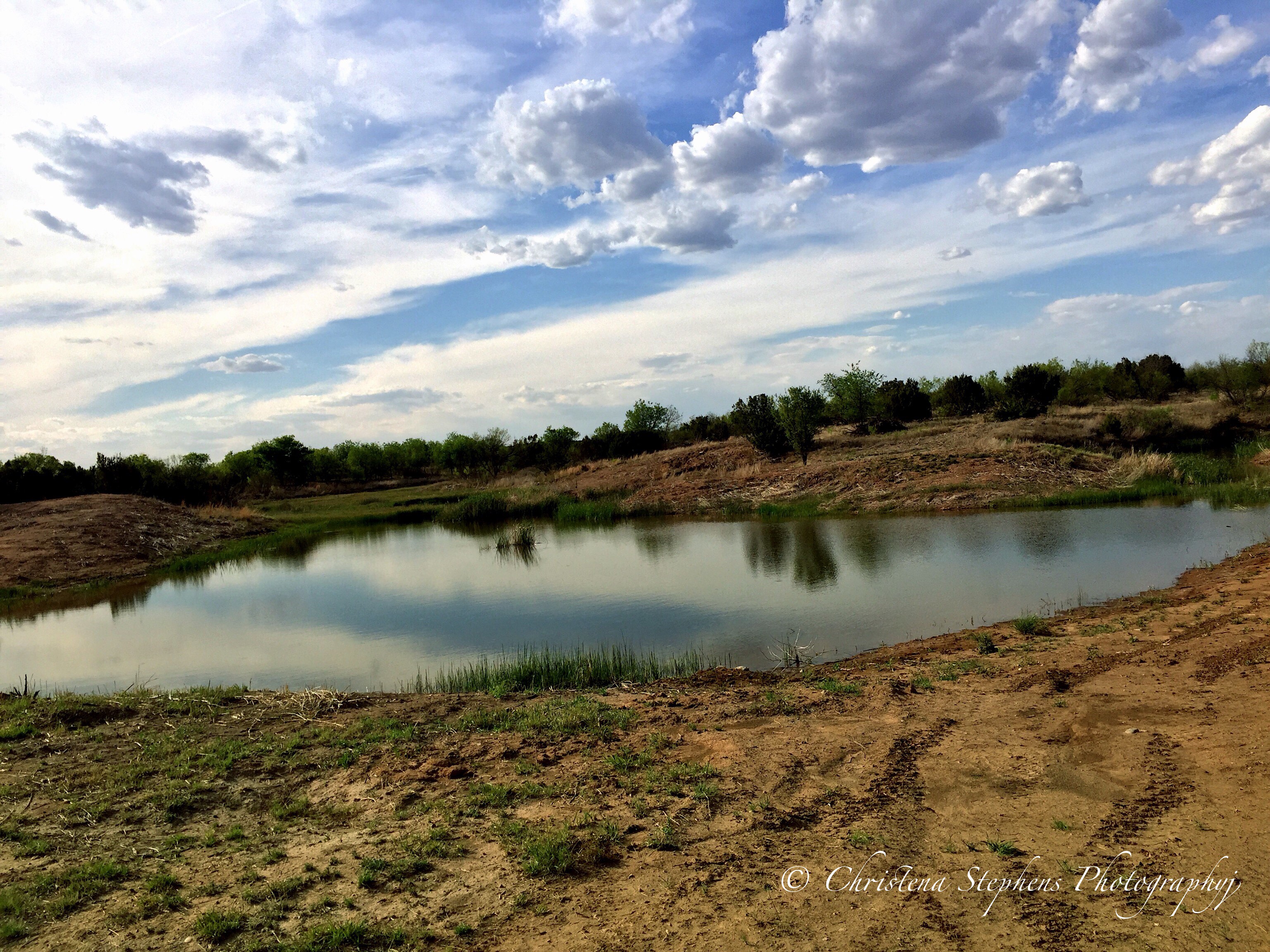A May Day’s of Wildlife Firsts – Forgotten Winds