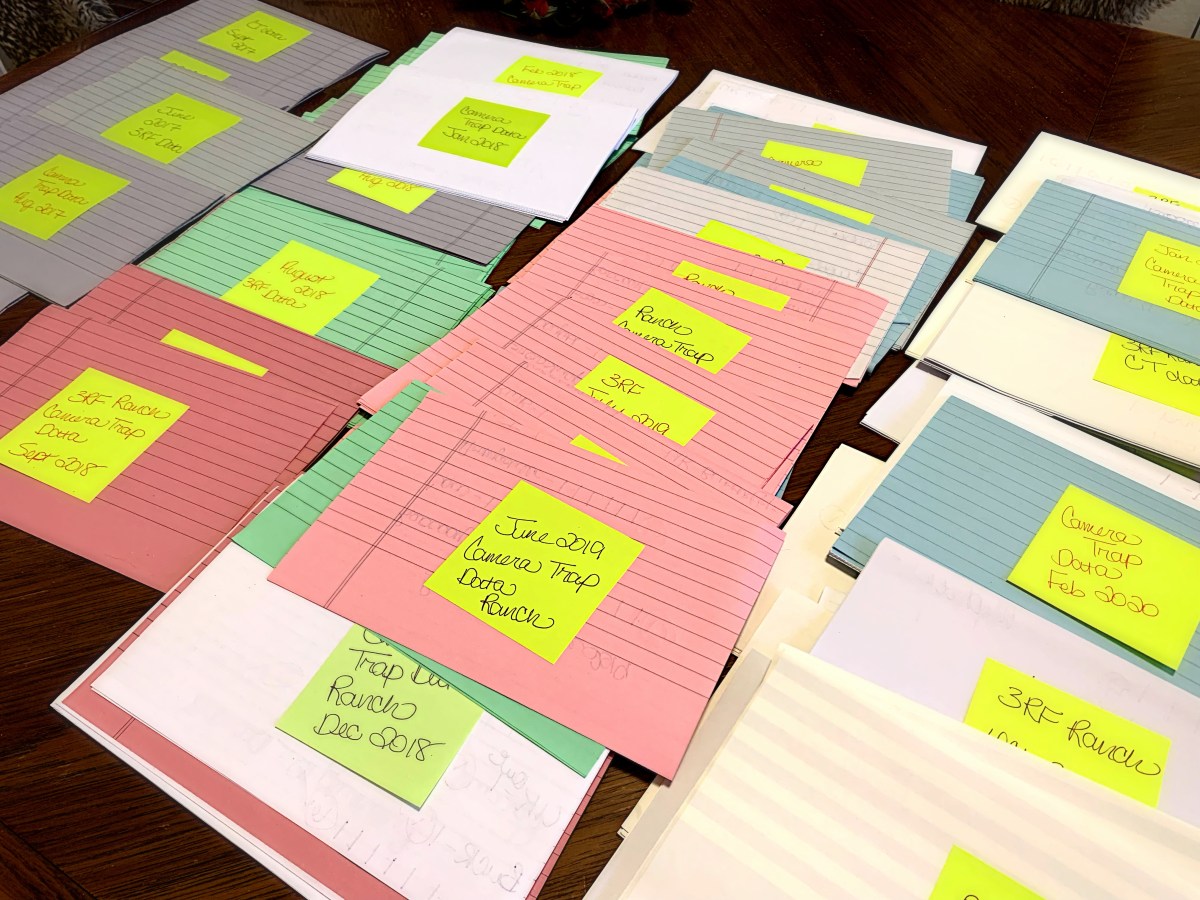 Converting from Paper to Digital for Wildlife Data – Forgotten Winds