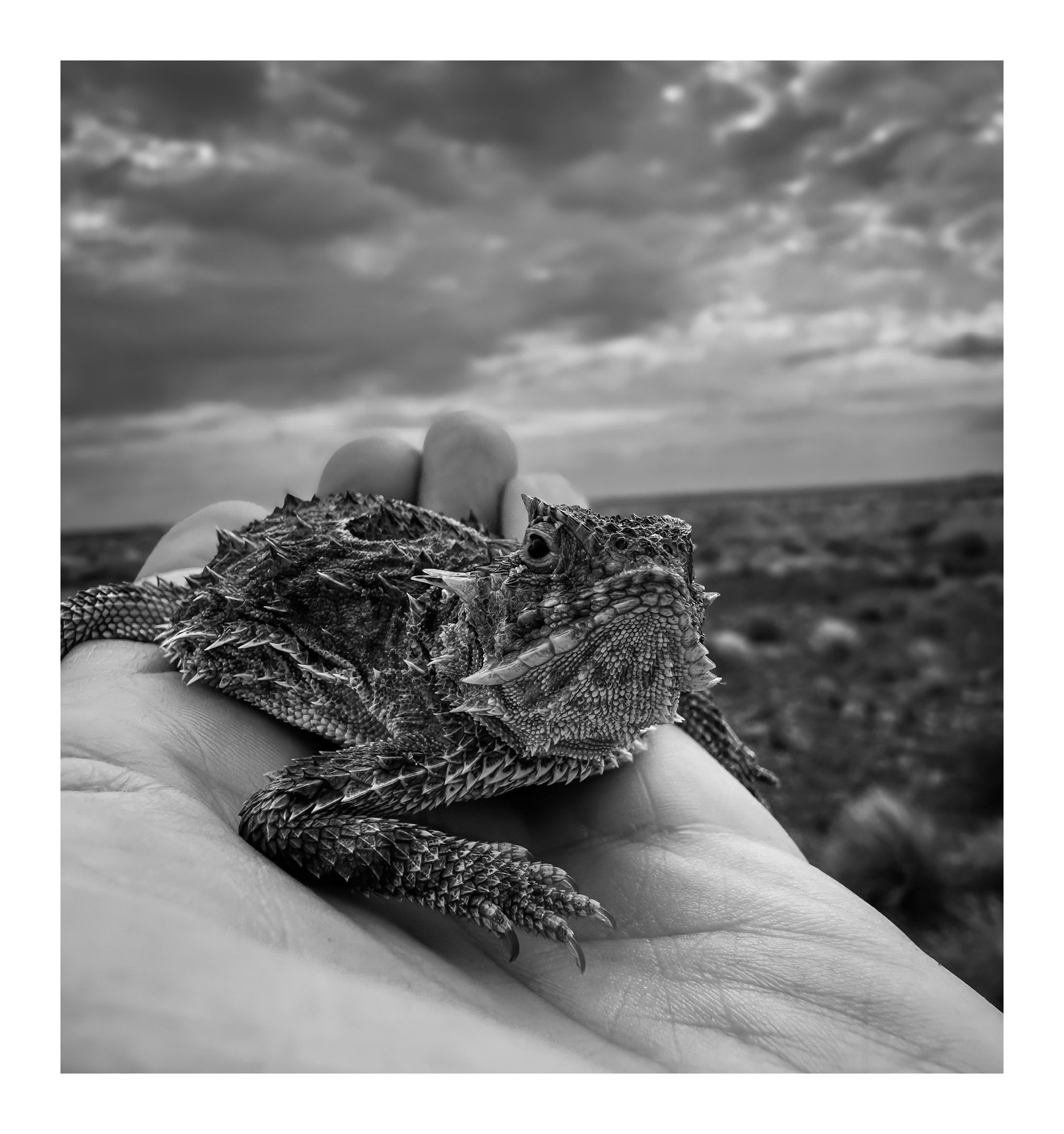 Earth’s Perfect Creature – Forgotten Winds